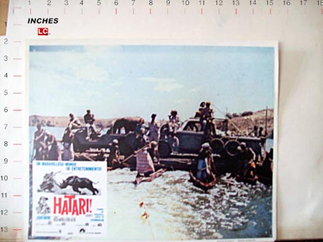 "HATARI" MOVIE POSTER - "HATARI" MOVIE POSTER