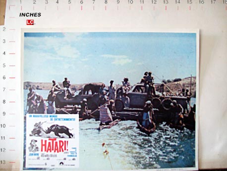 "HATARI" MOVIE POSTER - "HATARI" MOVIE POSTER